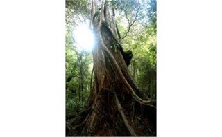 Gallery - Church Media | CreationSwap