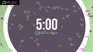 Media - Fall Leaves 5 Minute Countdown | CreationSwap