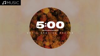 Media - Fall Leaves 5 Minute Countdown | CreationSwap