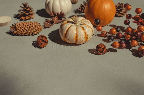 Media - 1970's Fall Decorations | CreationSwap