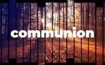 Media - Autumn Bars Communion | CreationSwap