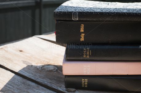 Media - Stacked Bibles | CreationSwap