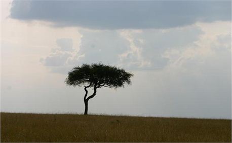 Media Img 6834 Creationswap