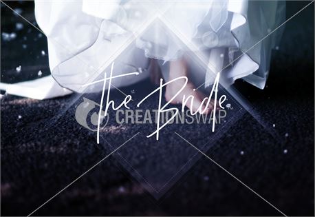 Media - The Bride | CreationSwap