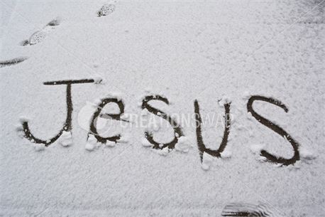 Media - Snowy Jesus | CreationSwap