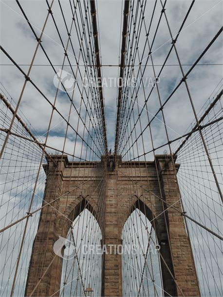 Media - Cable Art | CreationSwap