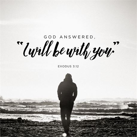 Media - Exodus 3:12 | CreationSwap