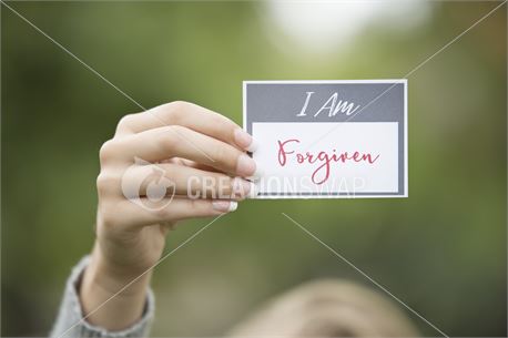 Media - I am Forgiven | CreationSwap