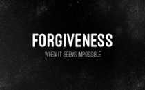 Gallery | CreationSwap