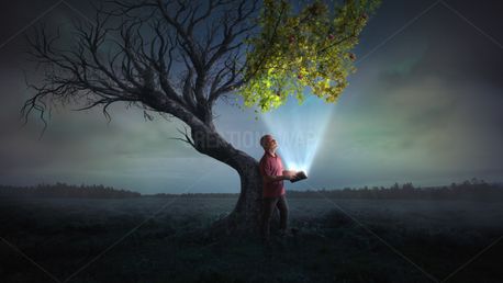 Media - Bible shining life | CreationSwap