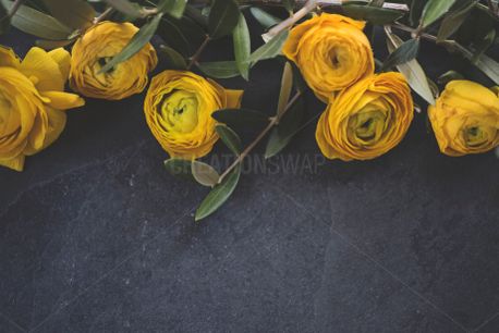Media - Flower Background | CreationSwap