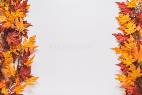 Media - Maple leaf border | CreationSwap